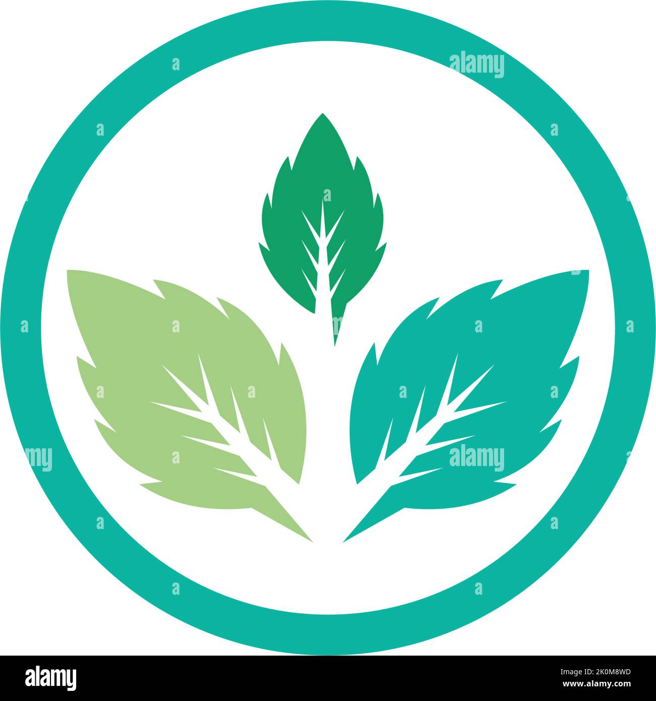 Mint leaves flat vector color icon template Stock Vector Image & Art ...