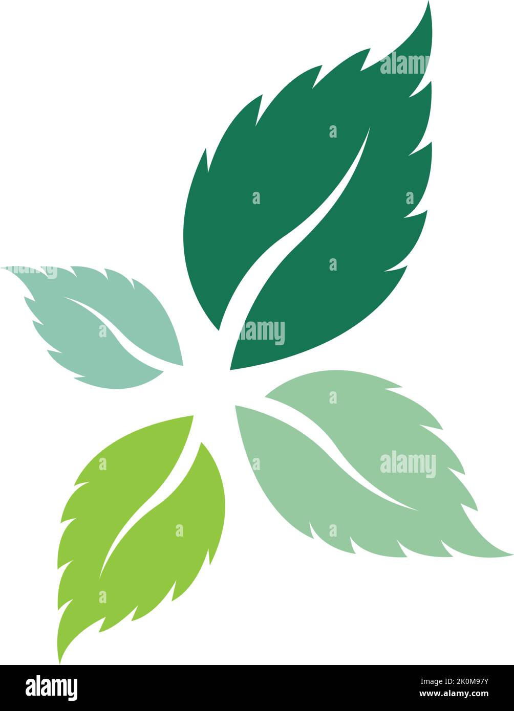Mint leaves flat vector color icon template Stock Vector Image & Art ...