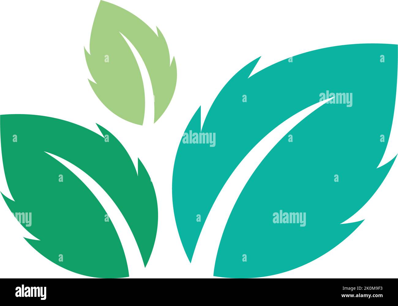 Peppermint tea green leaves Stock Vector Images - Alamy