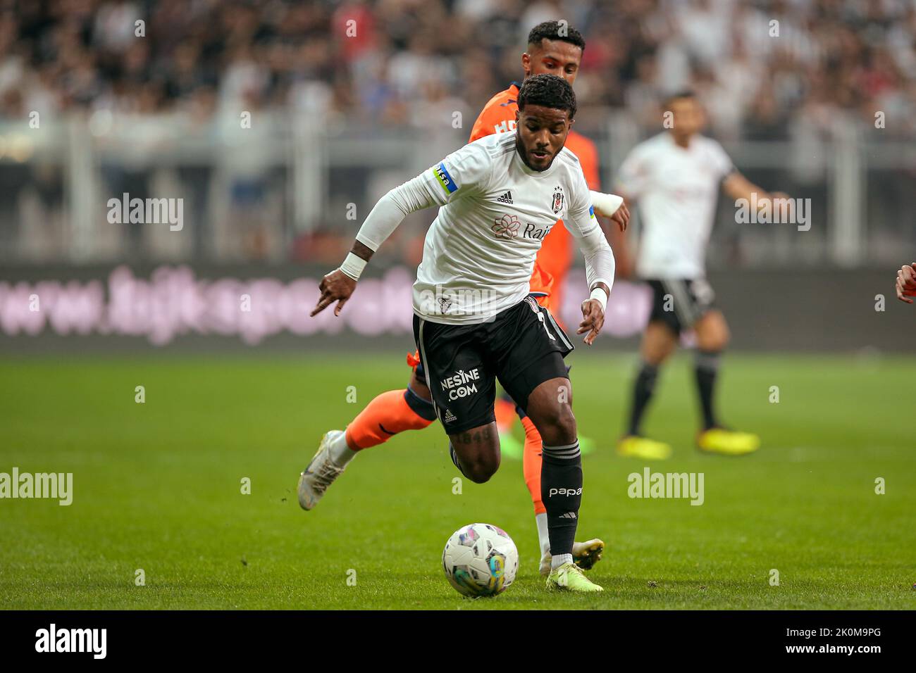 Valentin andre henri roster hi-res stock photography and images - Alamy