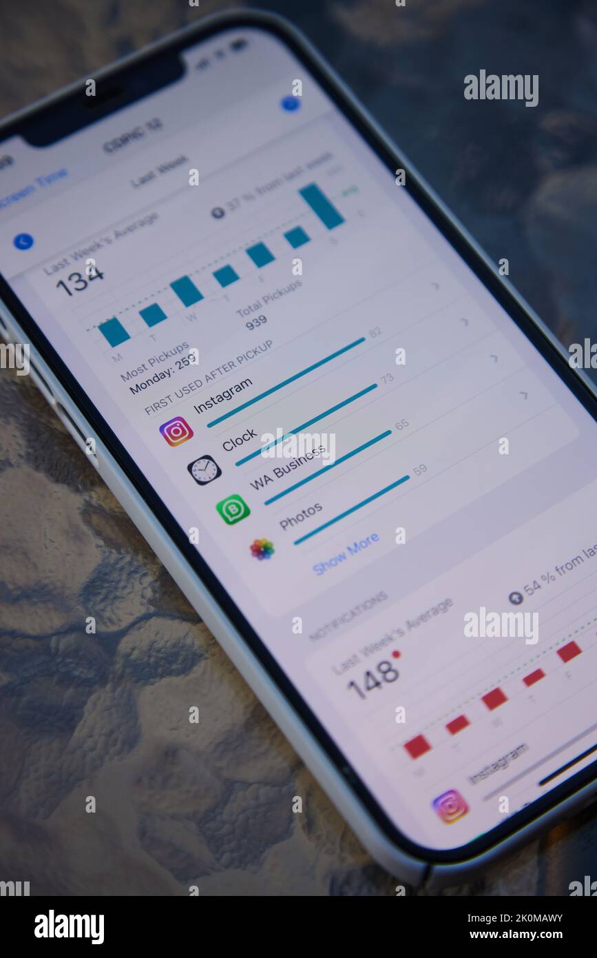 Close up of iPhone 12 Pro Max Screen Time with Category of Social Media ...
