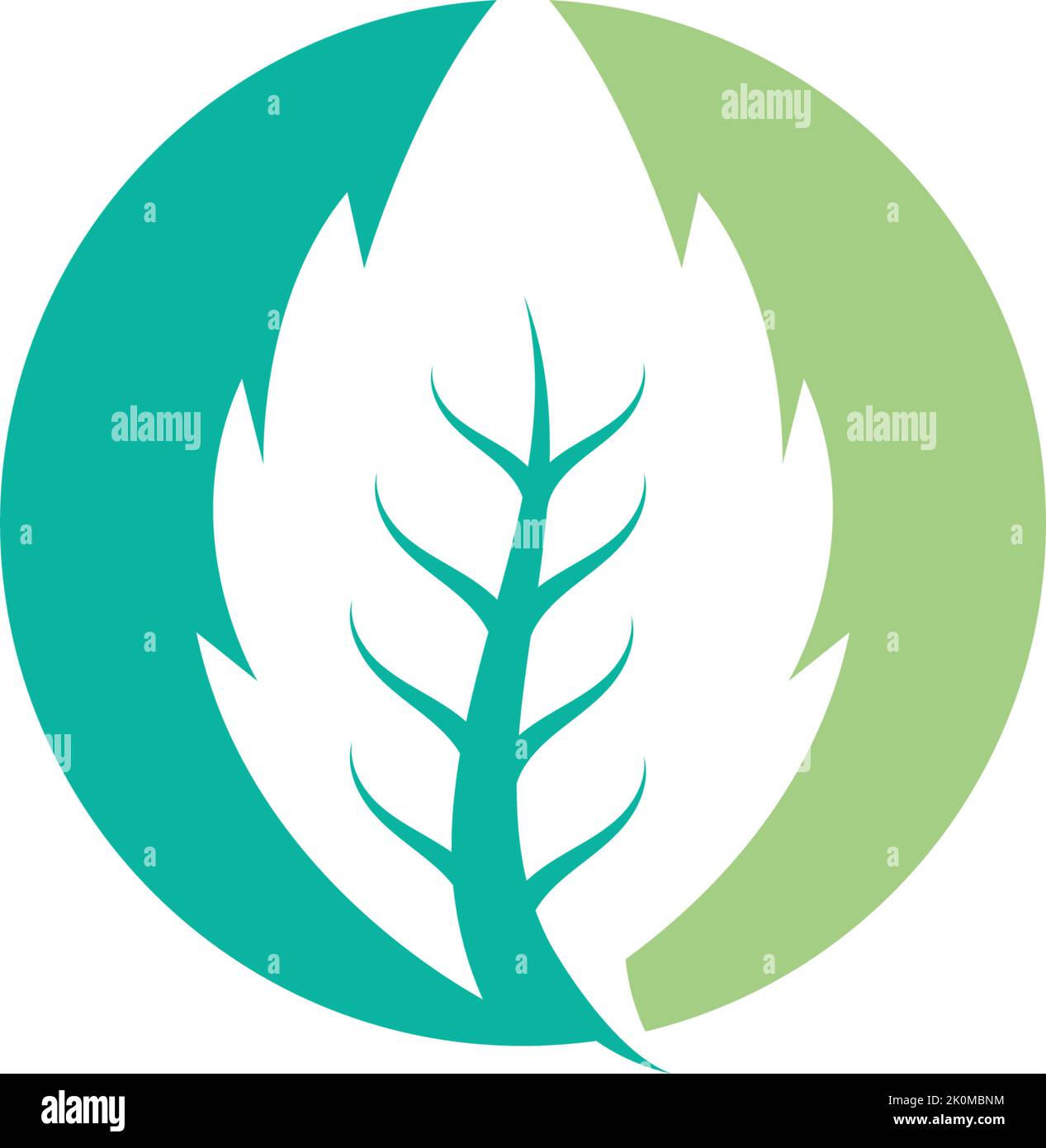 Mint leaves flat vector color icon template Stock Vector Image & Art ...
