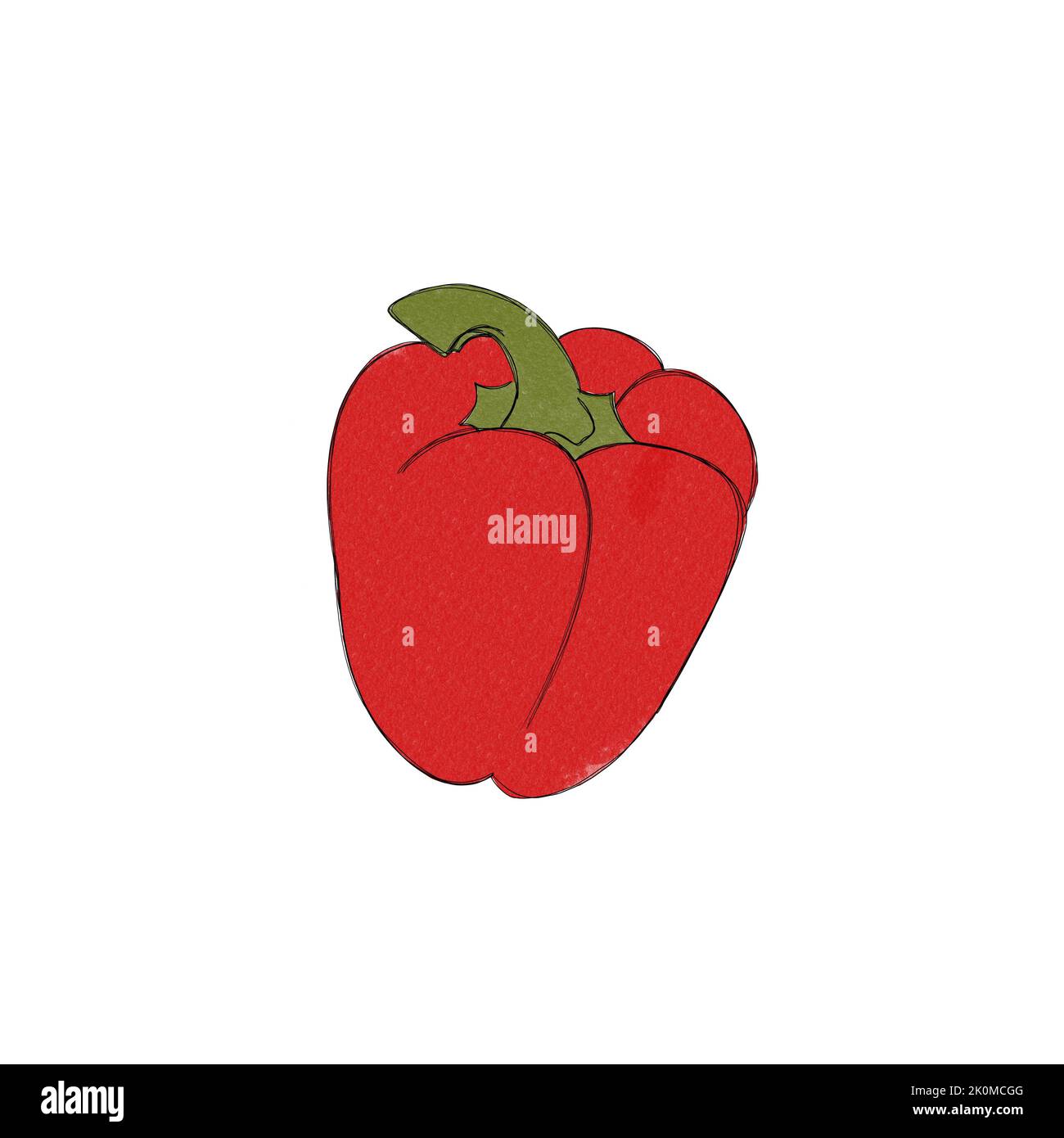 Fresh paprika, Bell Pepper watercolor drawing free hand Stock Photo - Alamy