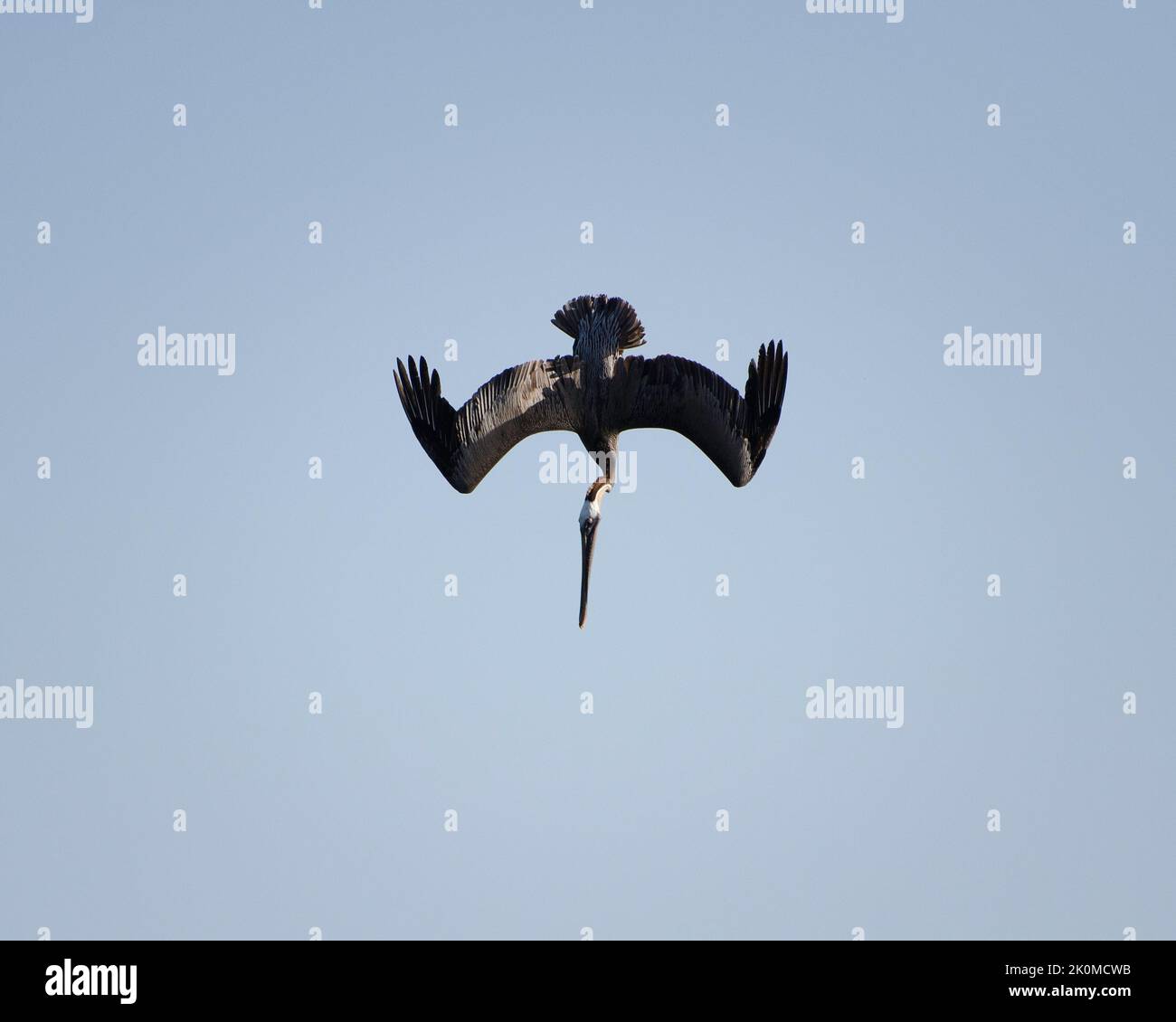 Refugio sb hi-res stock photography and images - Alamy