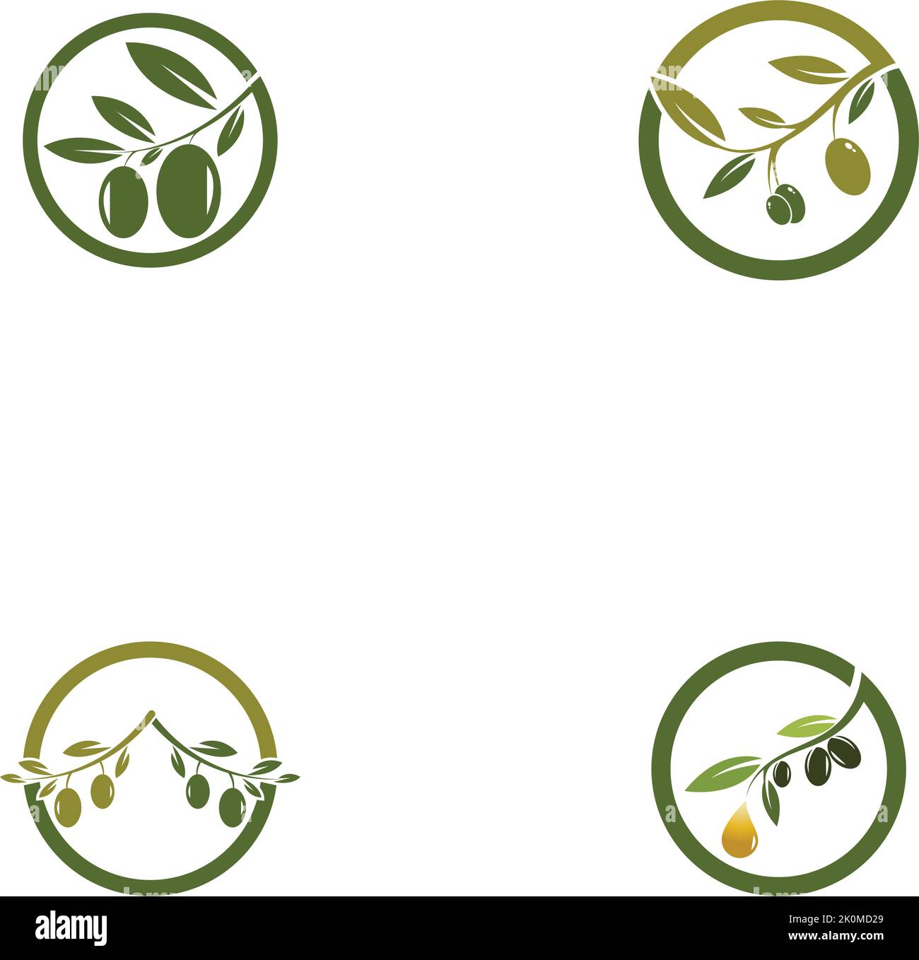 Olive logo template vector icon illustration design Stock Vector Image ...