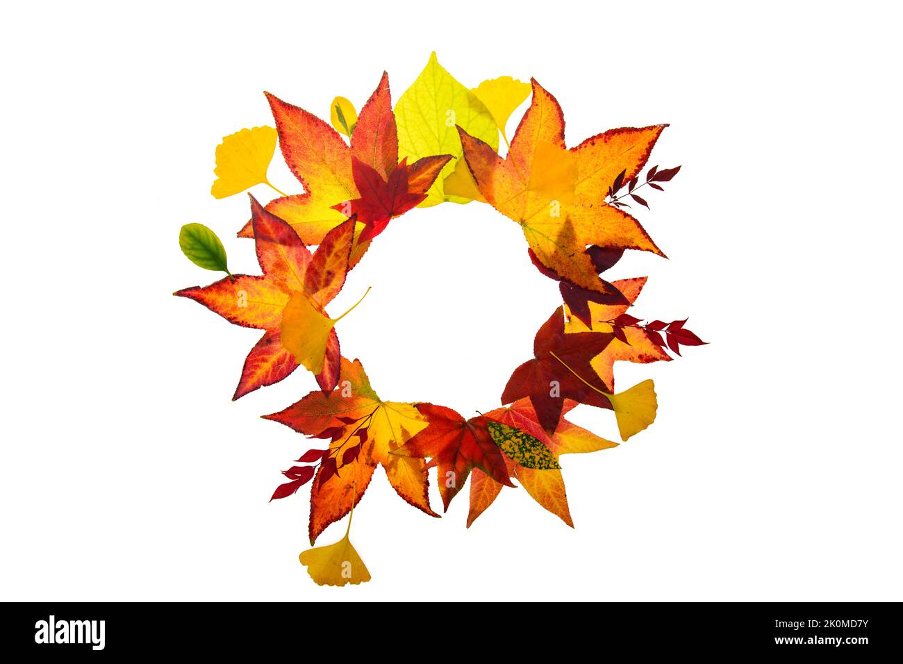 Autumn frame for design banners, leaflets, posters with space for your ...