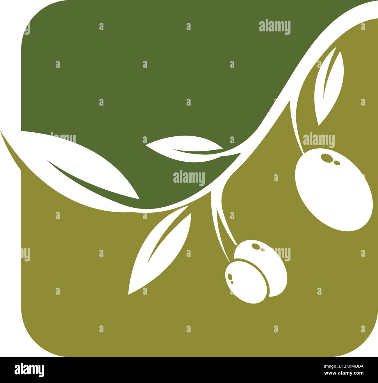 Olive logo template vector icon illustration design Stock Vector Image ...