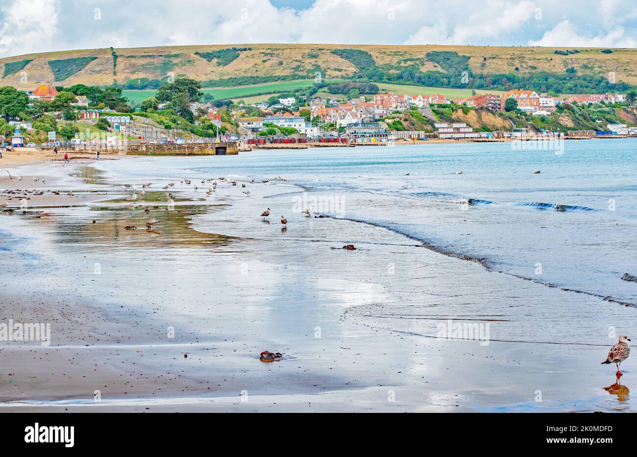The glistening retreating sea on the seagull bathing,cloud reflecting ...