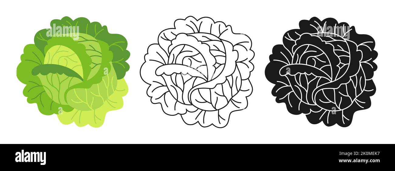 Cabbage cartoon linear symbol set, doodle style, engraving silhouette ...