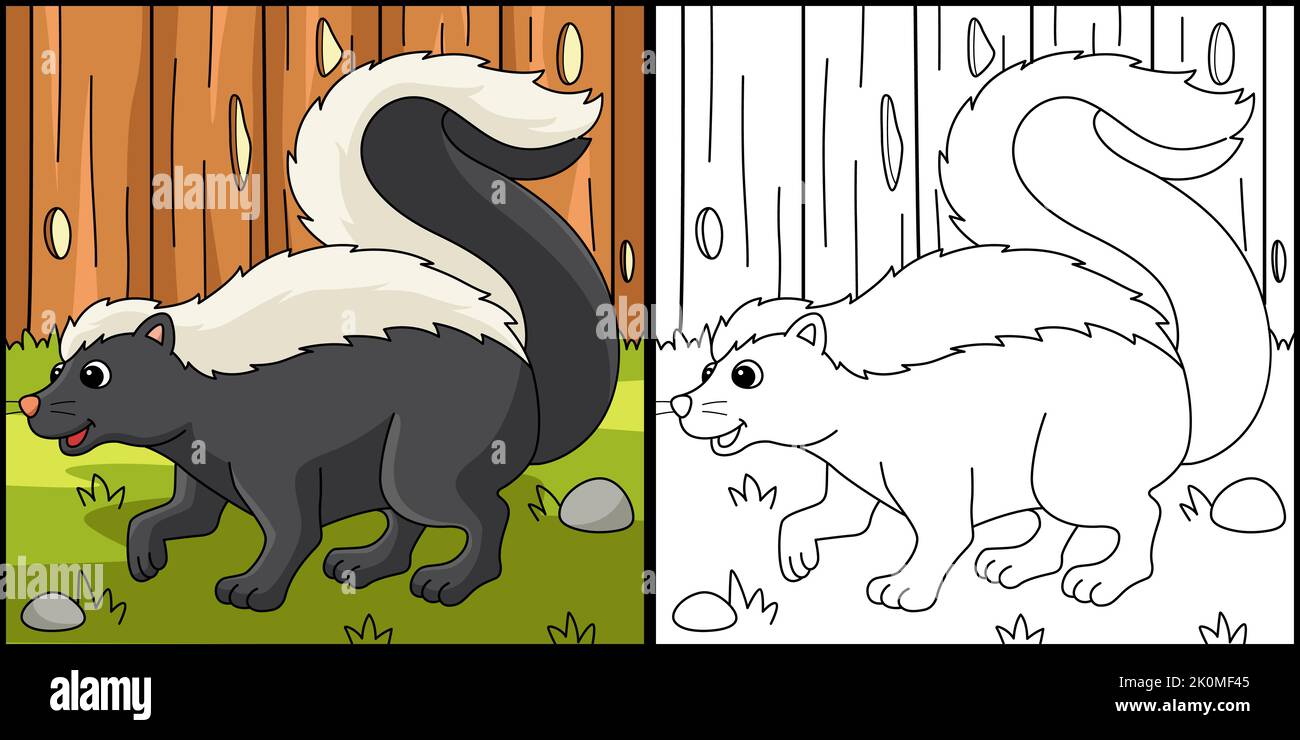Colored Skunks