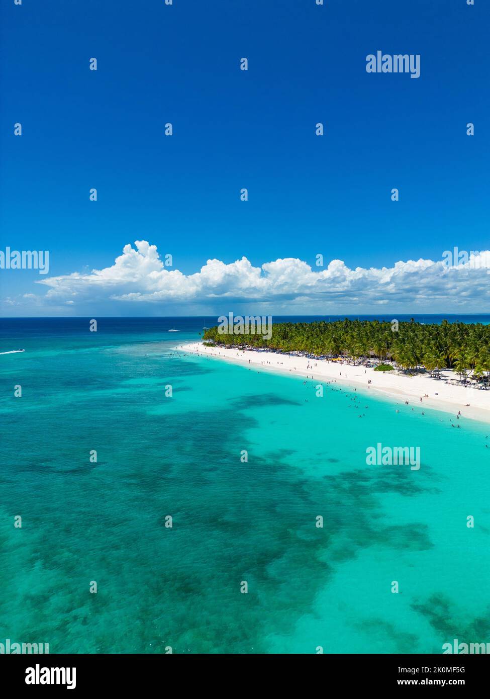 Tropical Island View from above showing sandy beach and palm trees ...