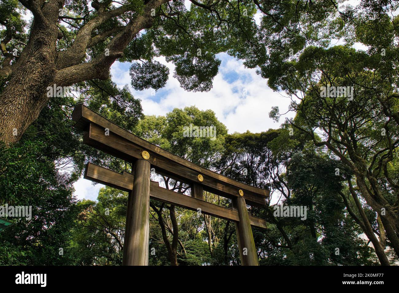 The Torii gate Meiji Shrine entry to a park in Tokyo, Japan Stock Photo ...