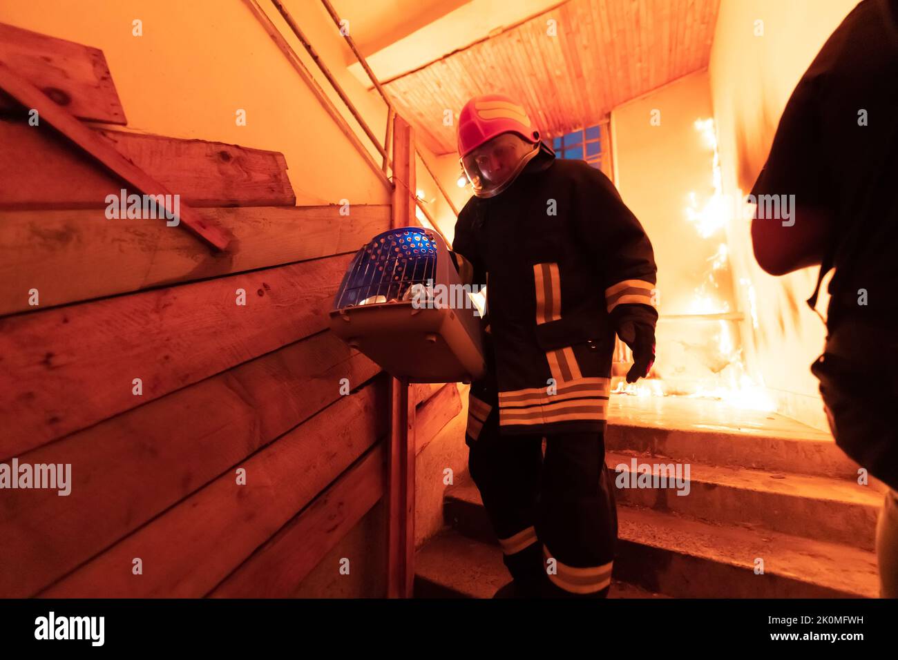 Firefighter hero carrying cat pet animal in carrying bag box out from ...