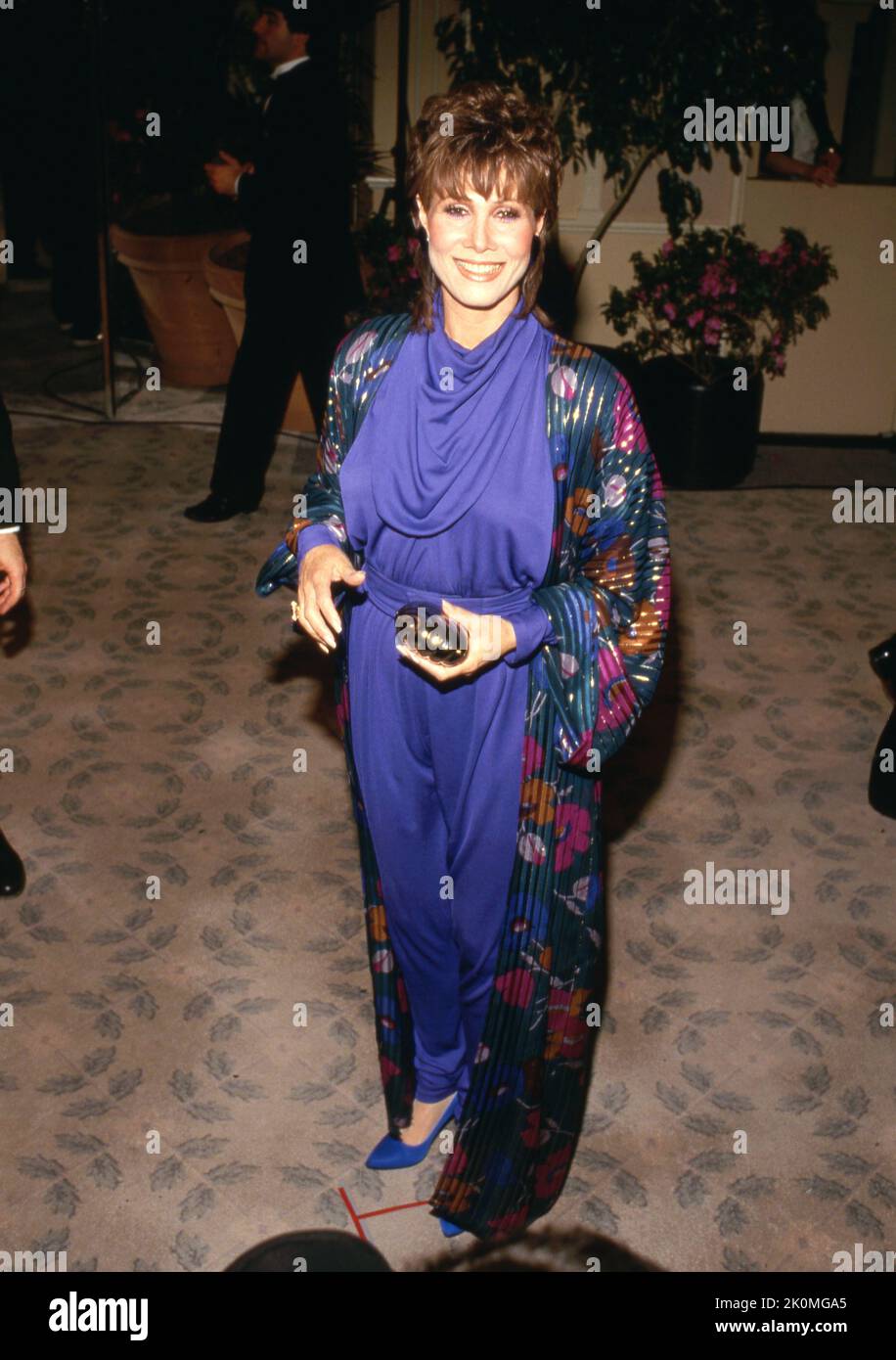 Michele Lee at the AFI Life Achievement Award Honoring Barbara Stanwyck ...