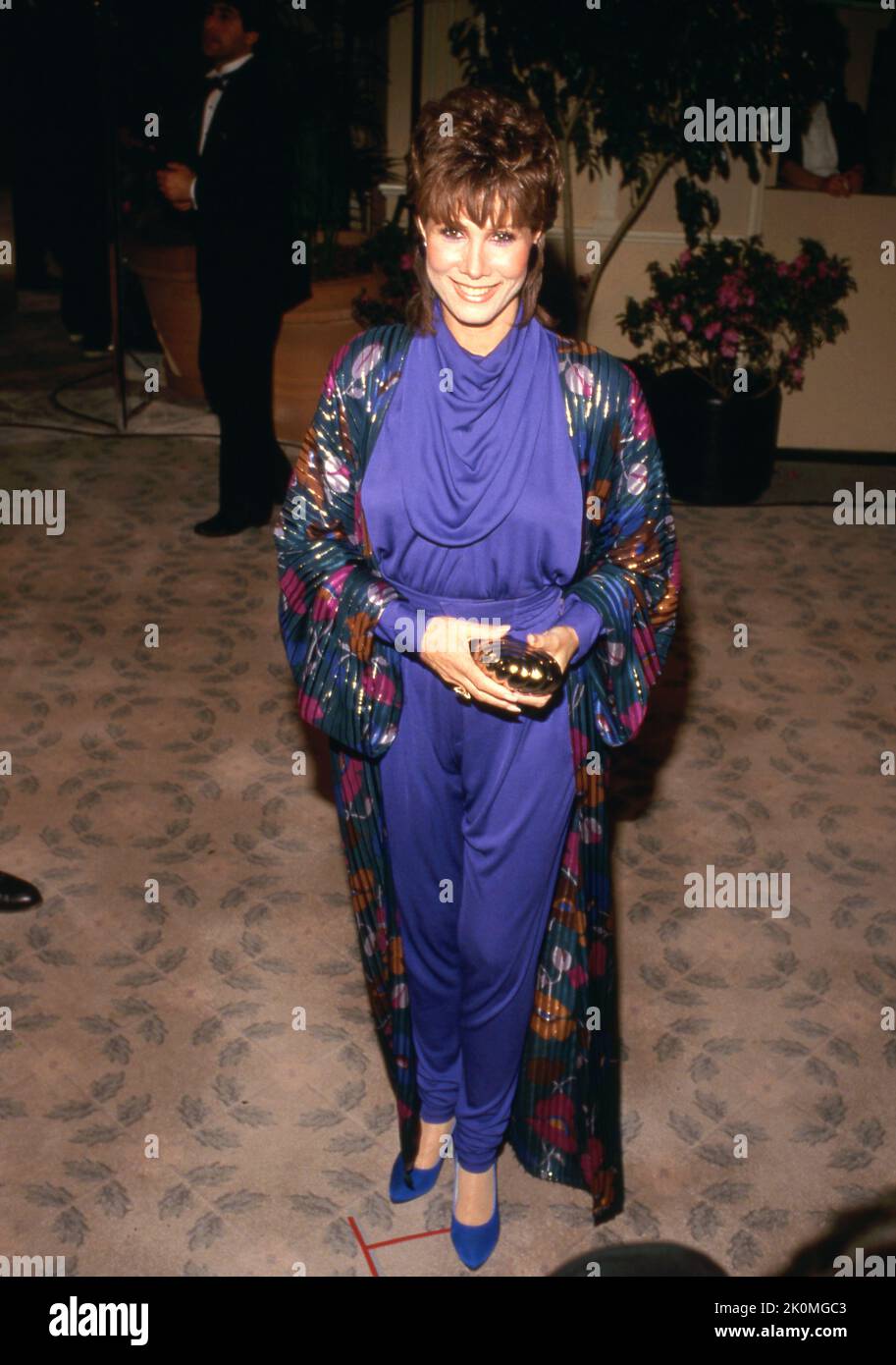 Michele Lee at the AFI Life Achievement Award Honoring Barbara Stanwyck ...