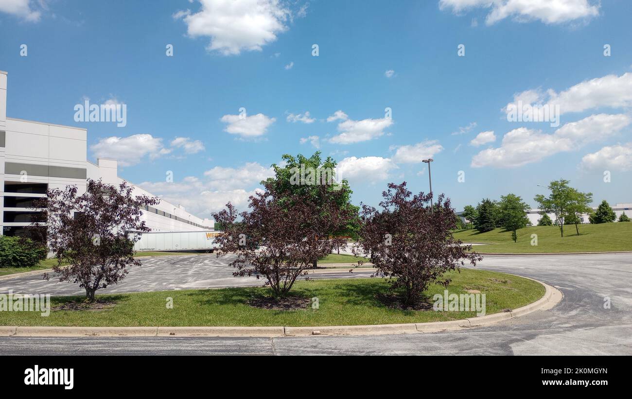 A curve street with trees in the middle and a cloudy blue sky Stock ...