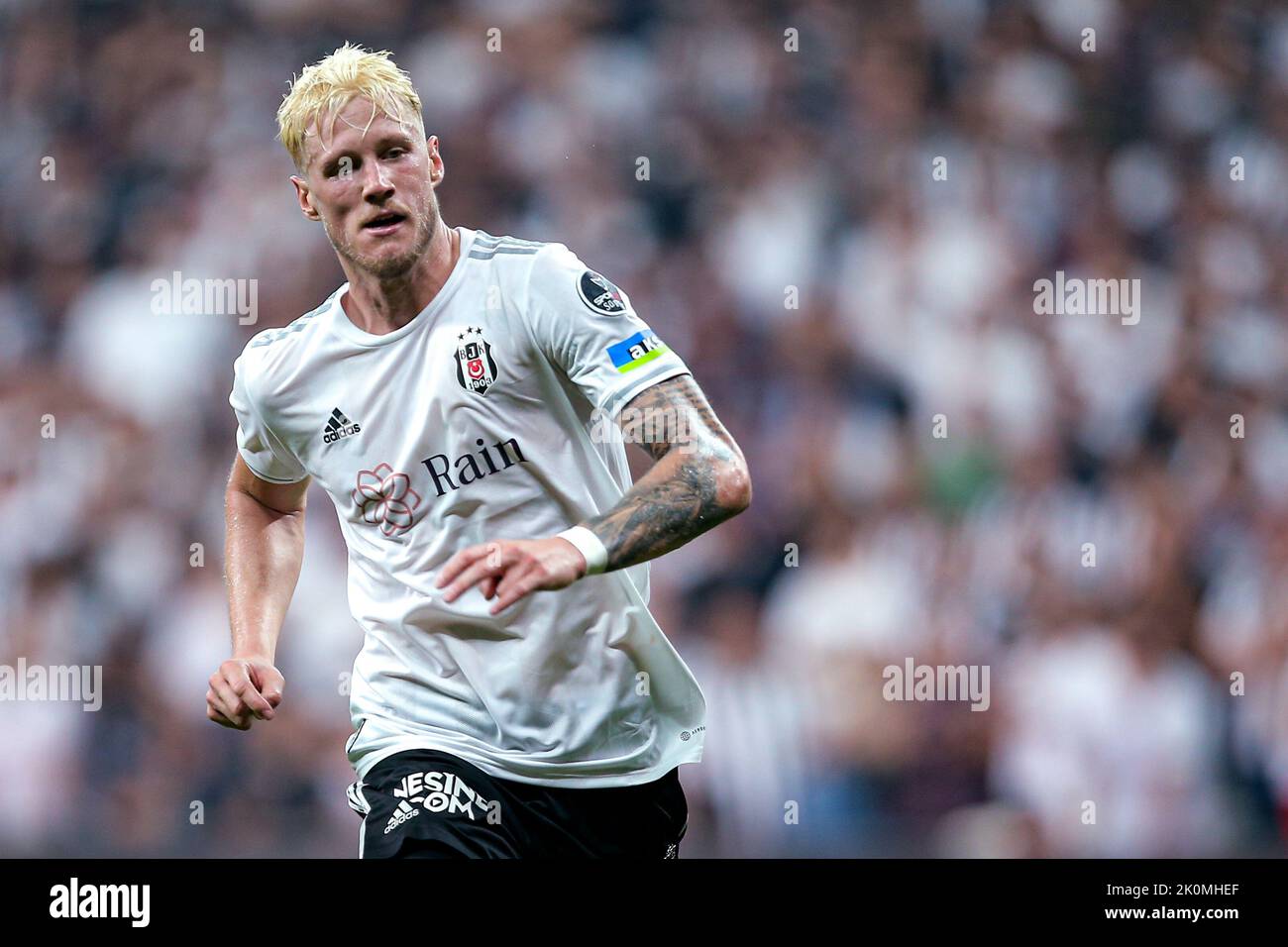 Wout francois maria weghorst hi-res stock photography and images - Alamy