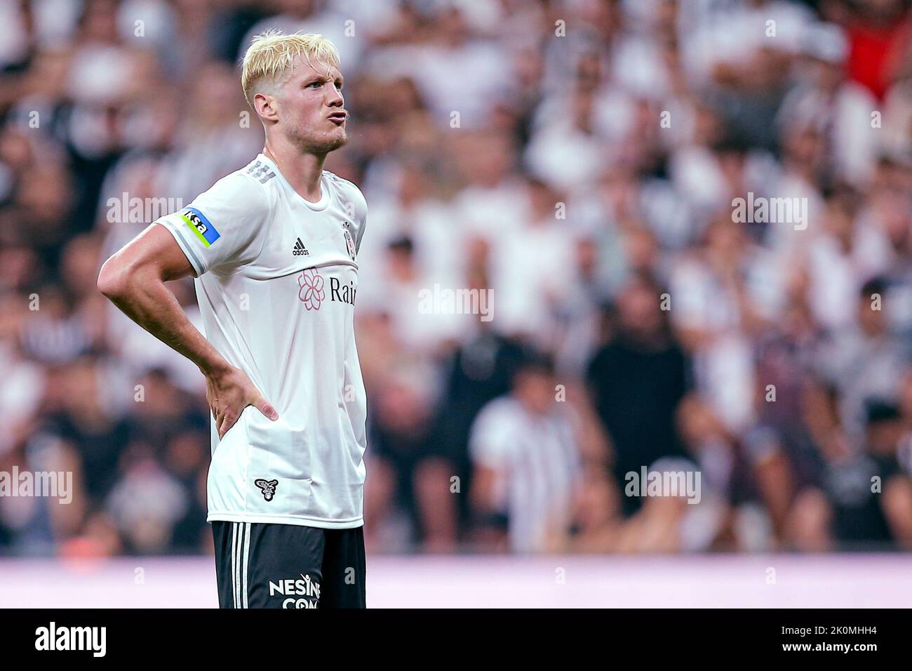 Wout francois maria weghorst hi-res stock photography and images - Alamy