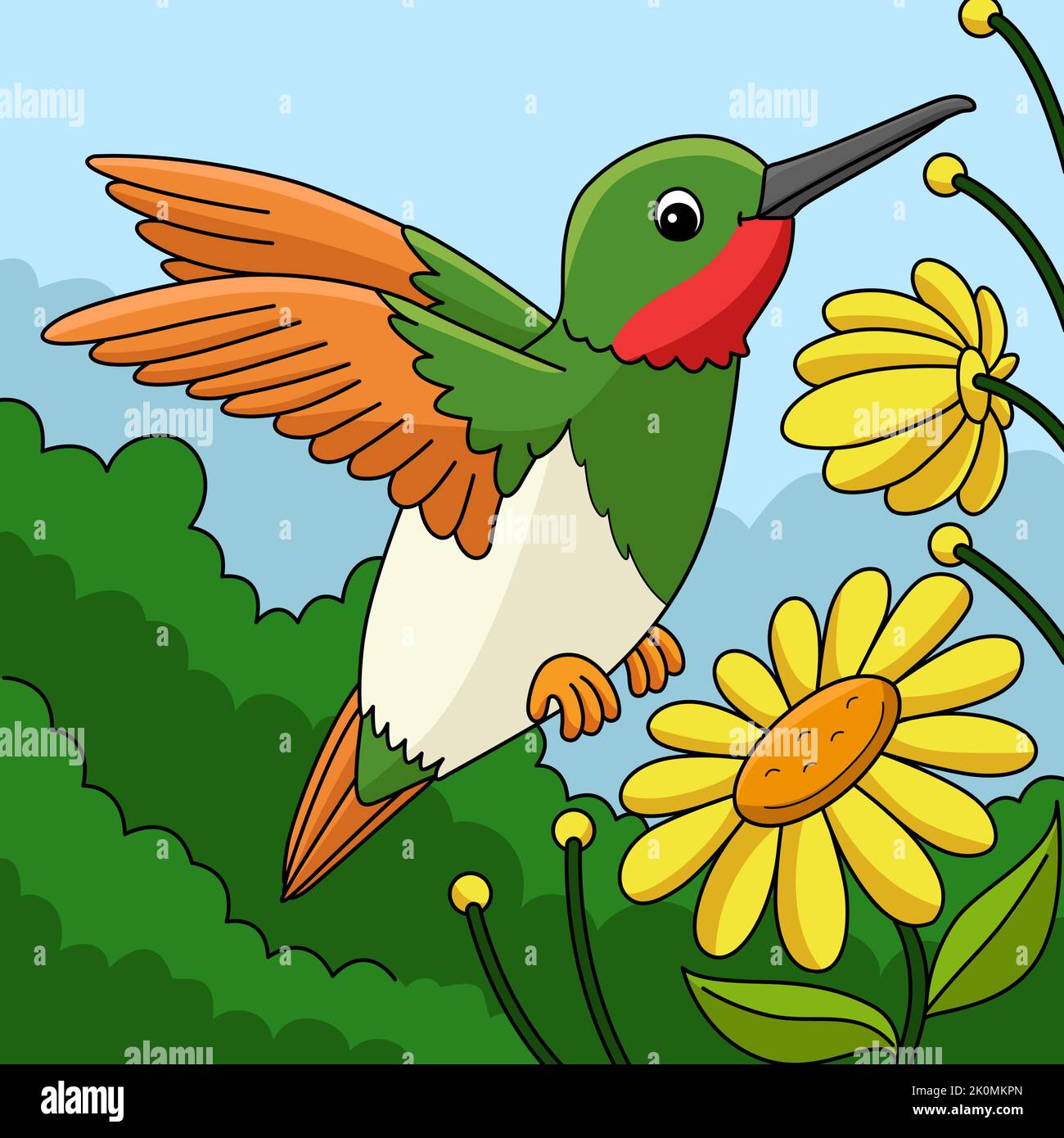 Hummingbird cartoon Stock Vector Images - Alamy