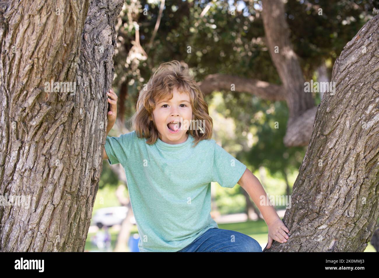 Little child boy trying to climb a tree. Kids climbing a tree. Happy ...
