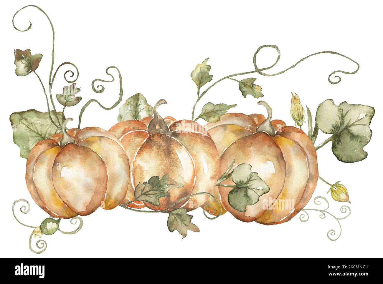 Watercolor harvest scene with pumpkin, flowers and leaves bouquet ...