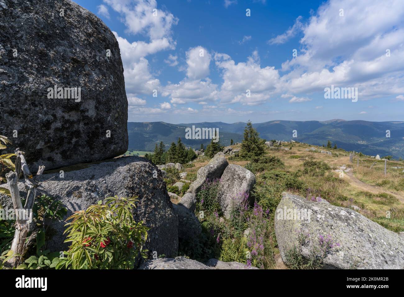hiking trail in the vosges mountains Stock Photo - Alamy