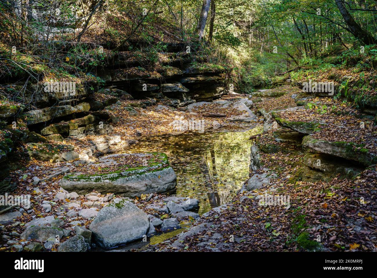 Raven Run creek and ravine in Raven Run Nature Sanctuary in Lexington ...