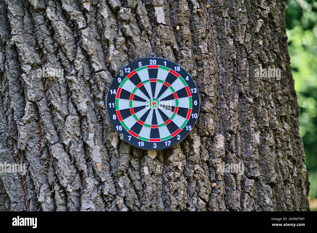 The dart hanging on the tree Stock Photo - Alamy