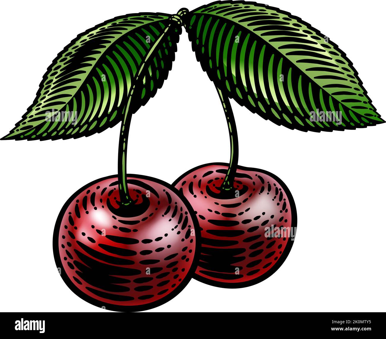 Cherry drawing color black Cut Out Stock Images & Pictures - Alamy
