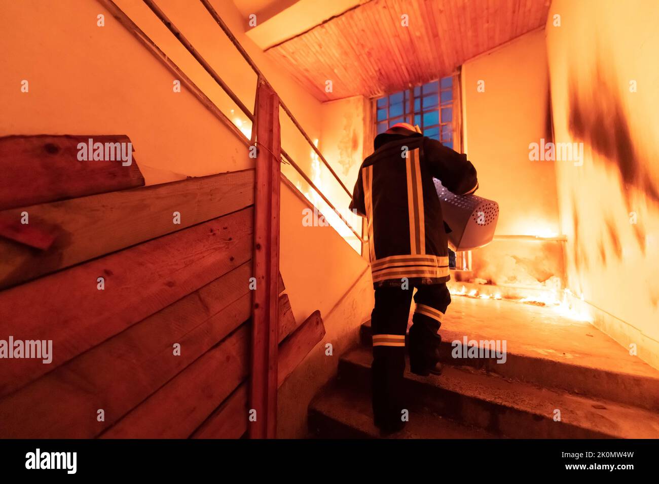 Firefighter hero carrying cat pet animal in carrying bag box out from ...