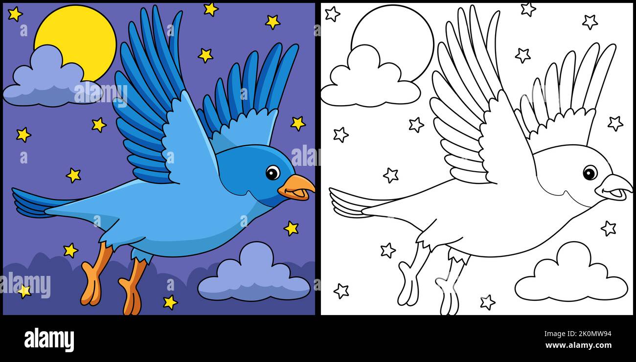 Bluebird Animal Coloring Page Colored Illustration Stock Vector Image ...
