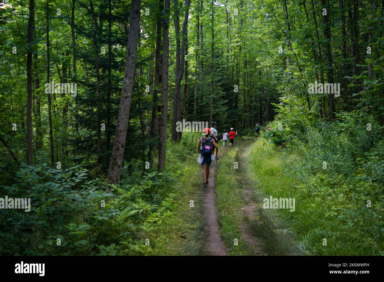 Arrowhead provincial park, Ontario, Canada - Family hiking the park ...