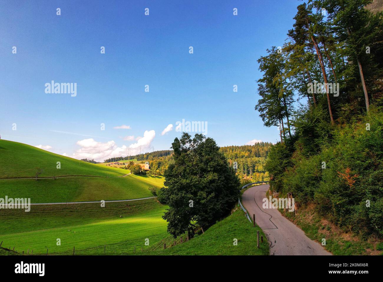 An aerial view of asphalt road winding through lush green hill in rural ...