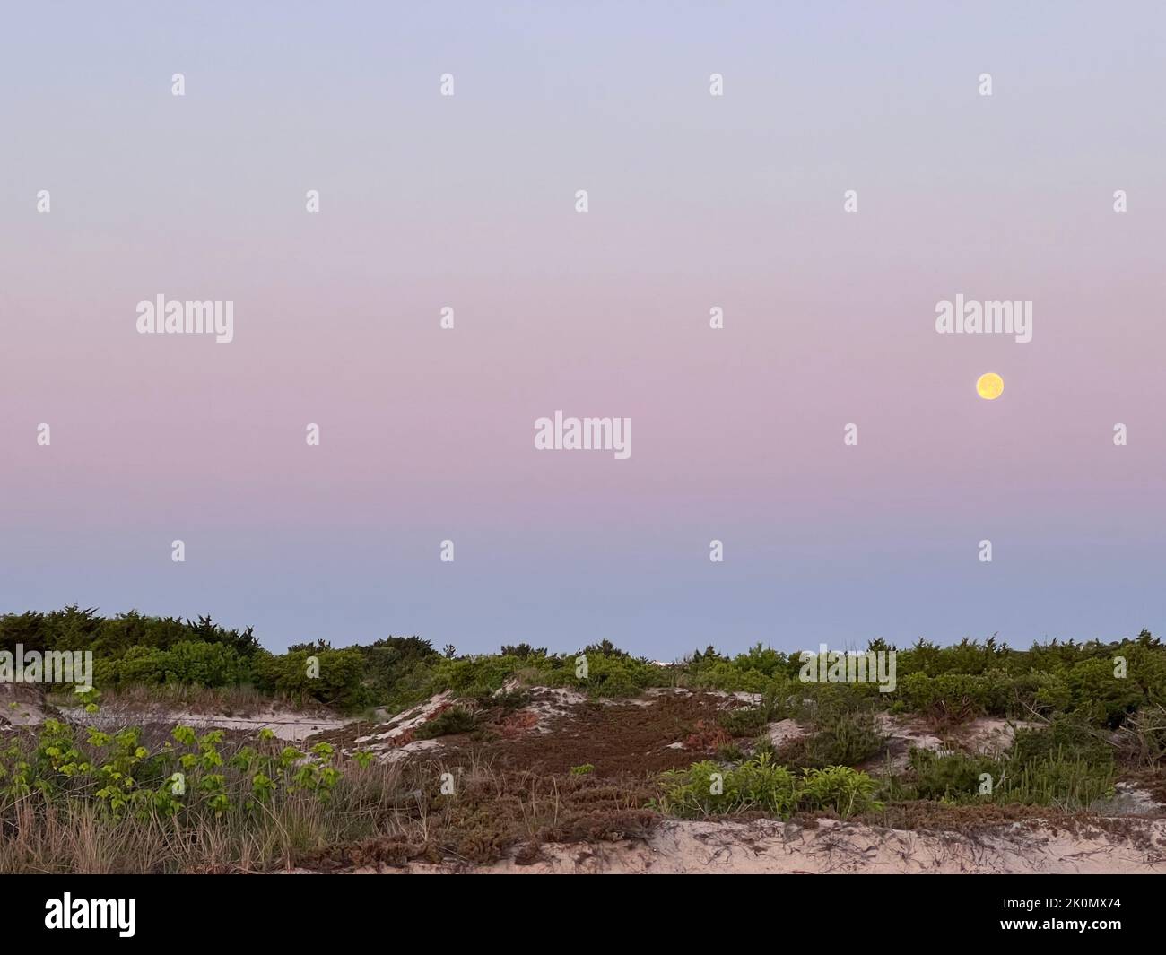 The yellow full moon in pink and blue sunset sky over a sandy beach ...