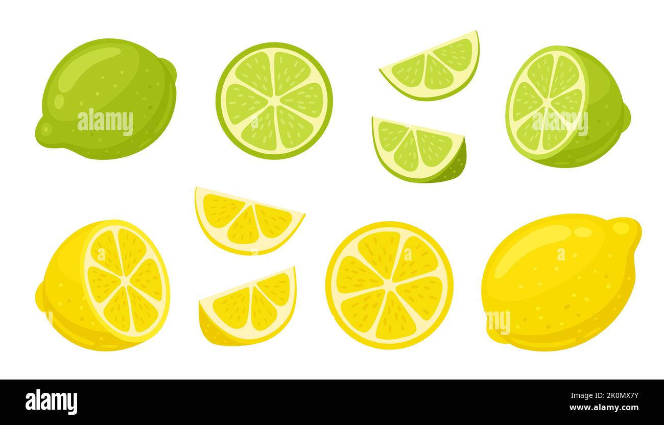 Lime and lemon cartoon vector illustration. Slices, slices, slices, cut lemon and lime isolated ...