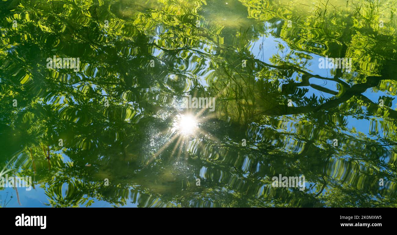 Close up photo of wavy water surface with tree, sky and sun reflection ...