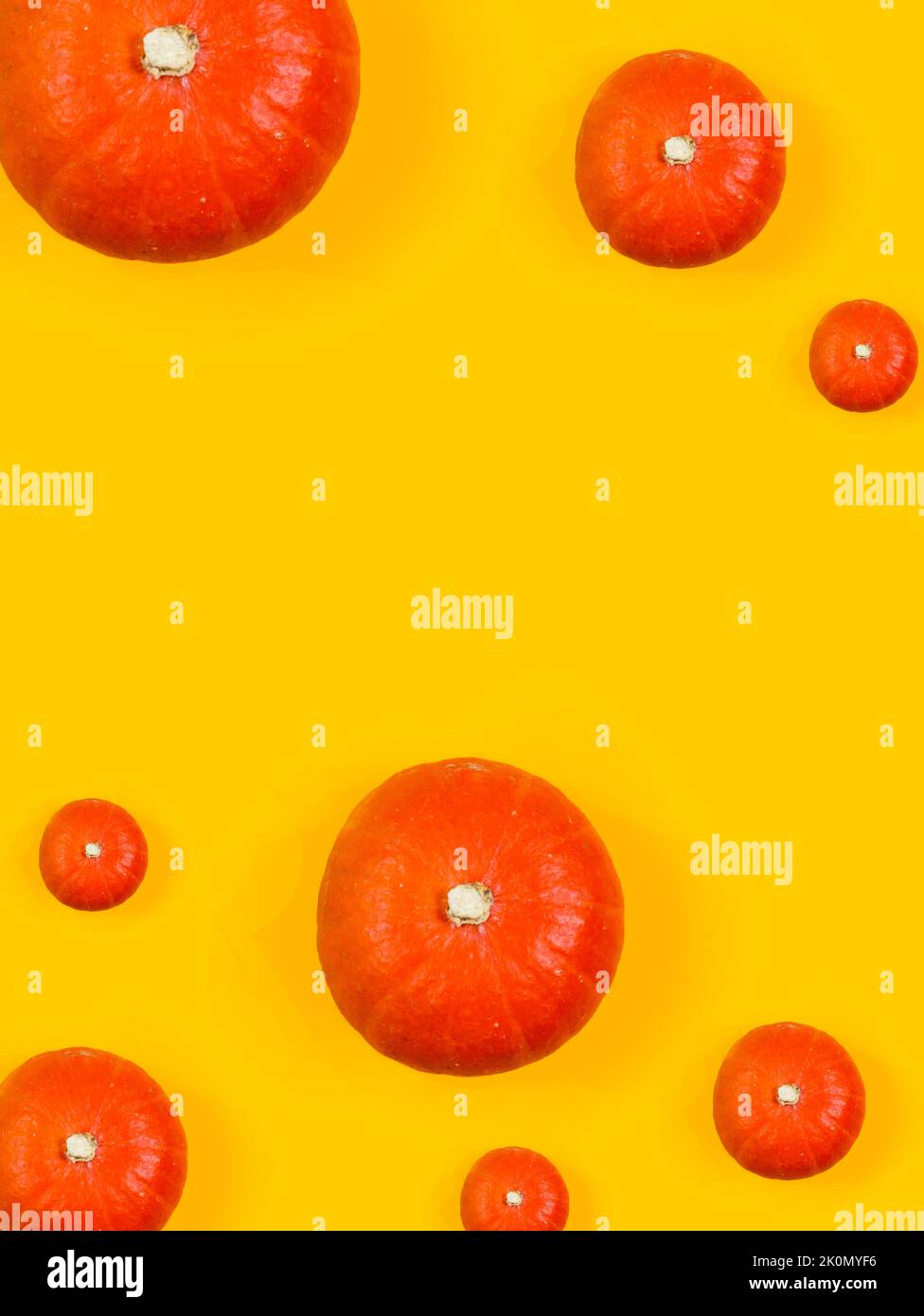 Fall background with pumpkins. Pumpkin of different sizes on yellow ...