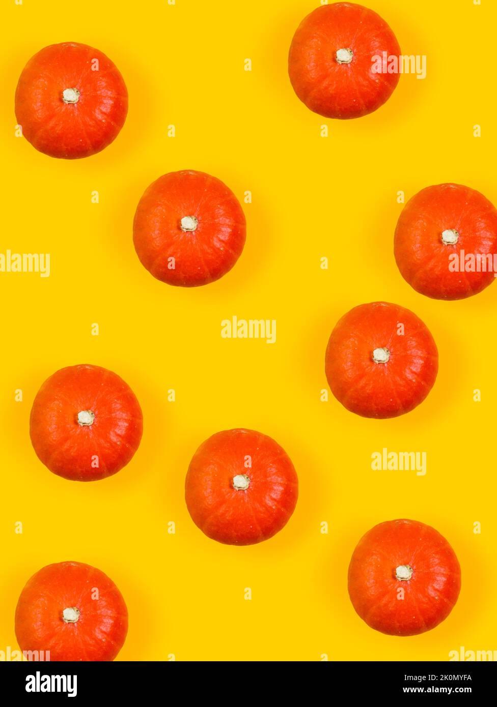 Fall background with pumpkins. Pumpkin of different sizes on yellow ...