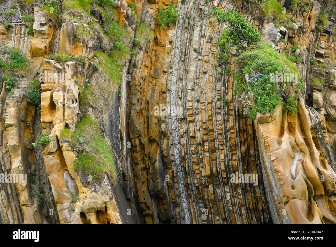 The Flysch, hard rock layers, erosion, geology, San Sebastian, Euskadi ...