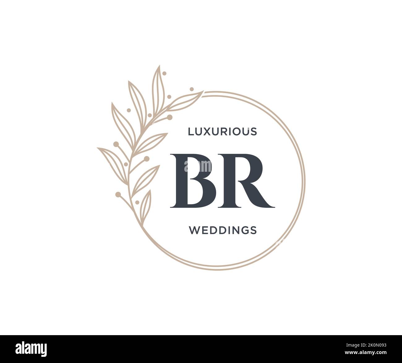 BR Initials letter Wedding monogram logos template, hand drawn modern ...