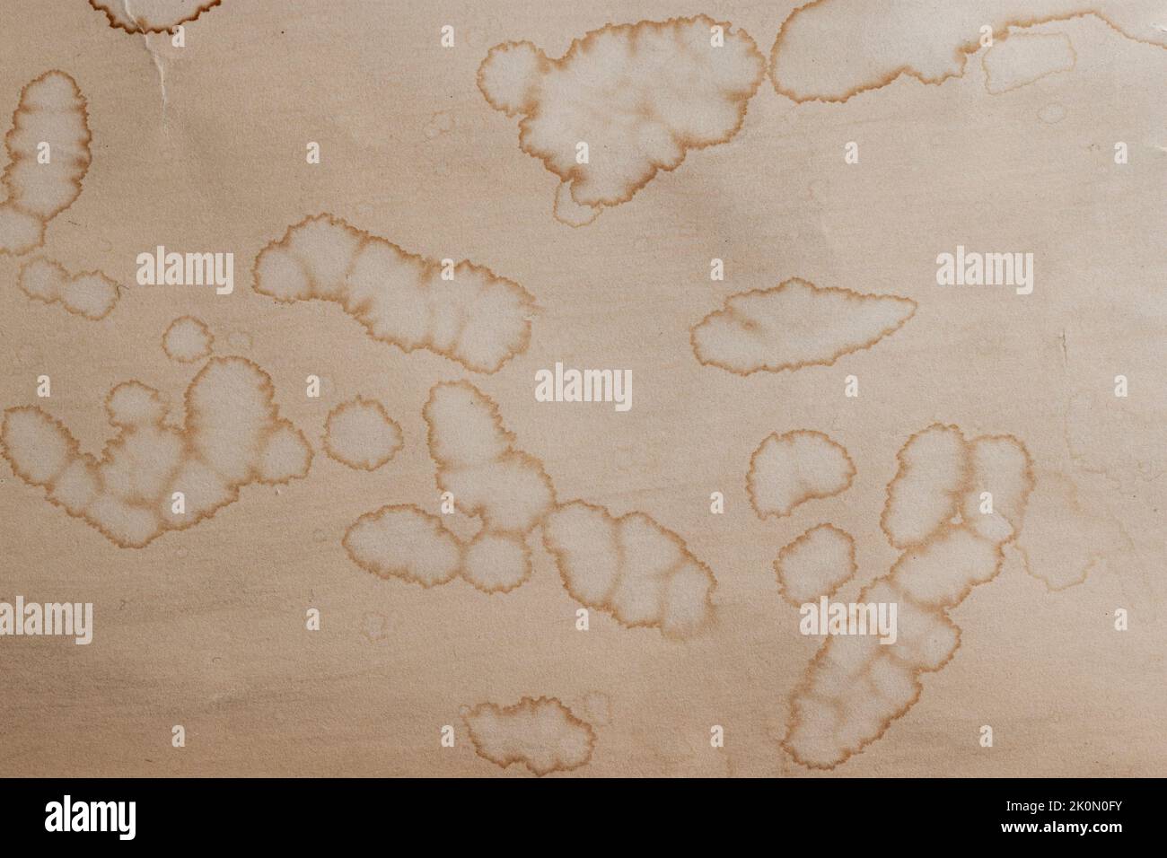 Texture of old moldy paper with dirt stains, vintage background Stock ...