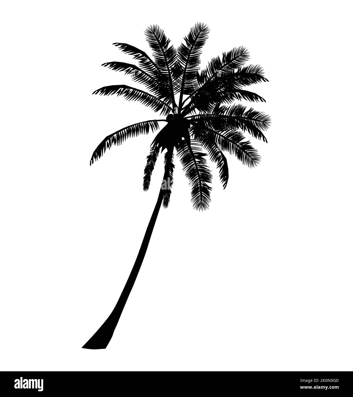 simple palm tree black silhouette vector isolated on white background ...