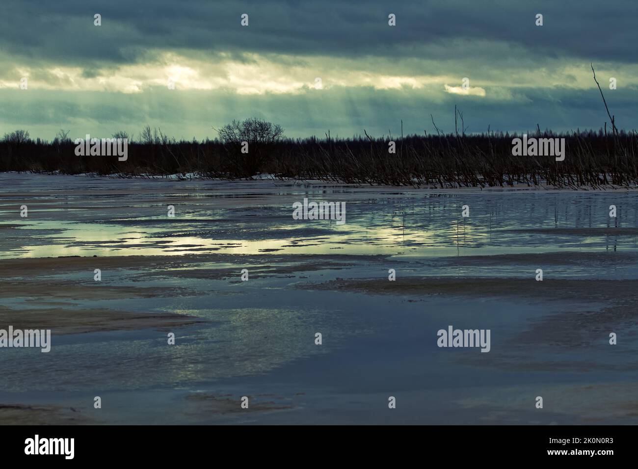 Winter views of lowland moor with rotten ice, dry trees and black ...