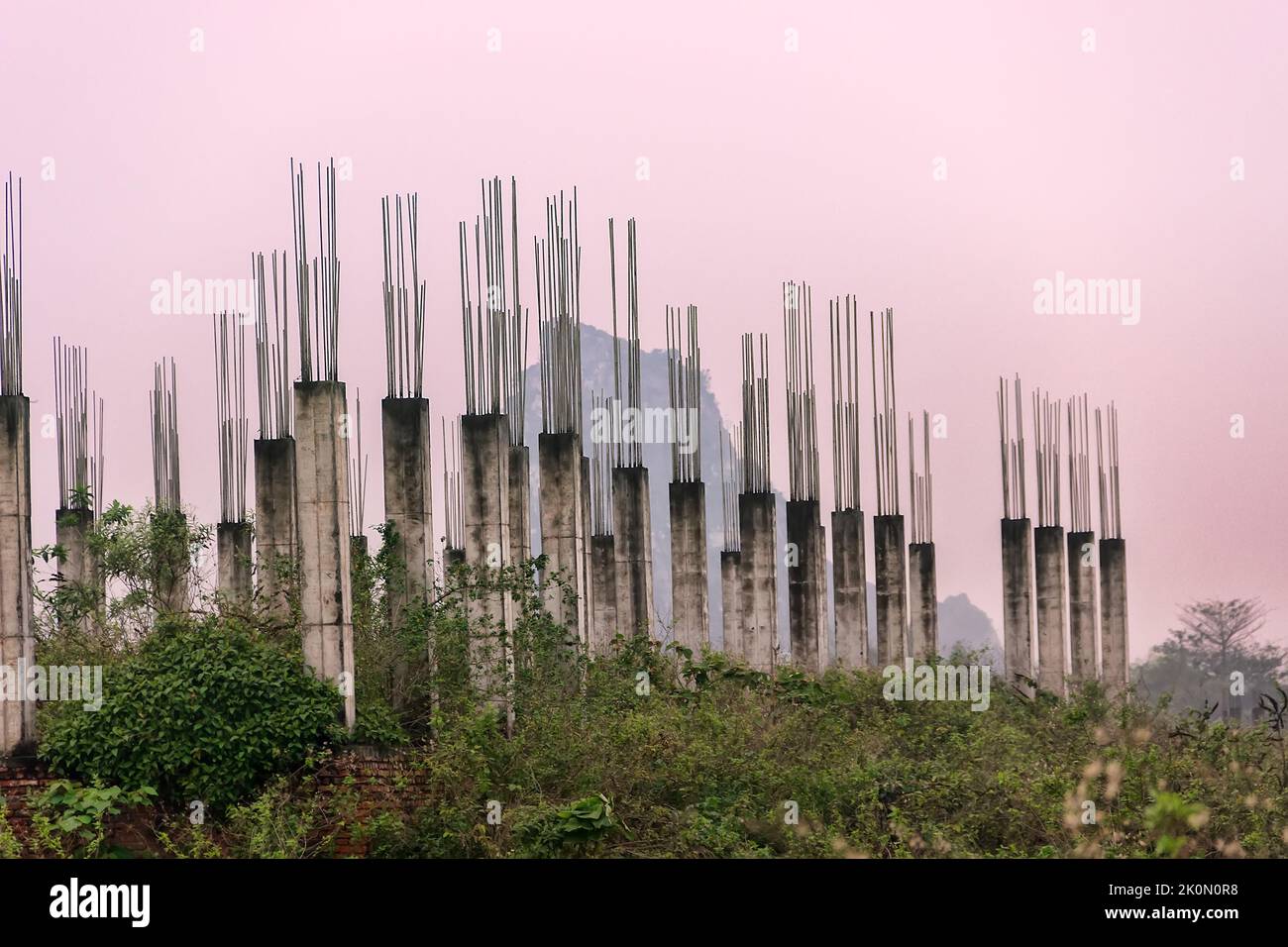 The construction of a multi-storey building (concrete pillars) has ...