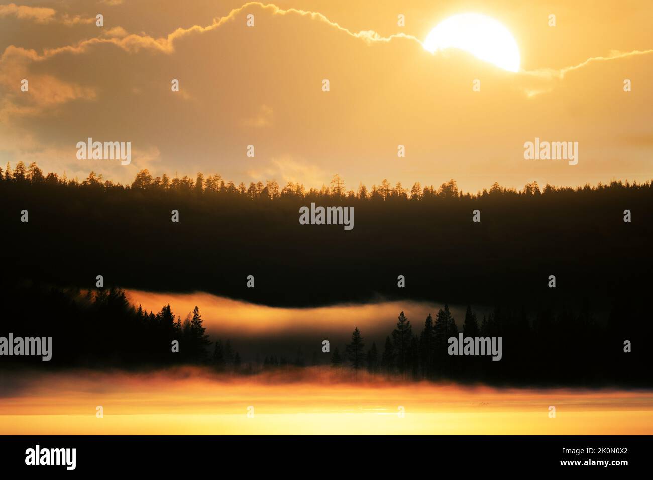 Water-surface, ground-level fog over the lake, ice and coniferous ...