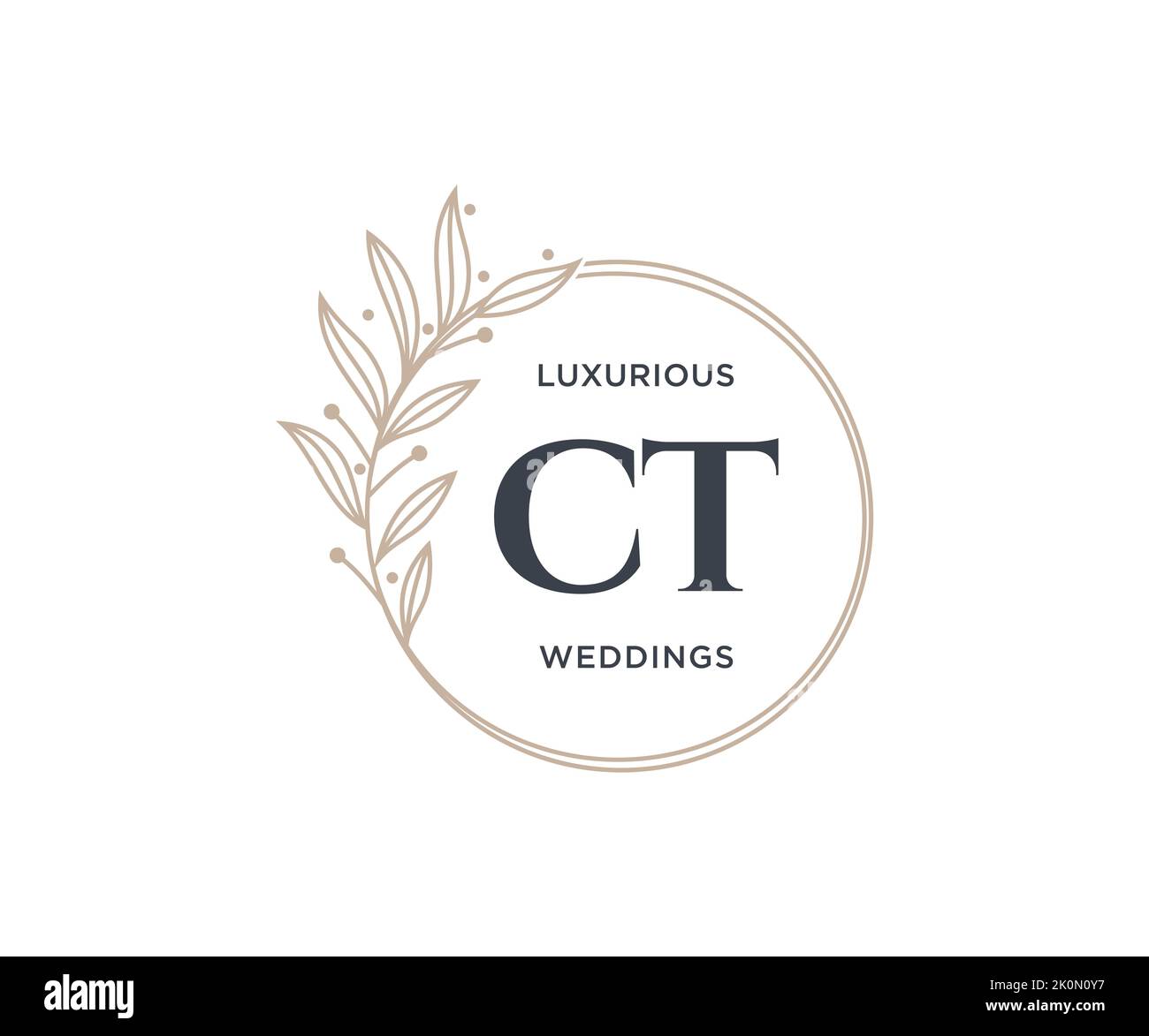 CT Initials letter Wedding monogram logos template, hand drawn modern ...