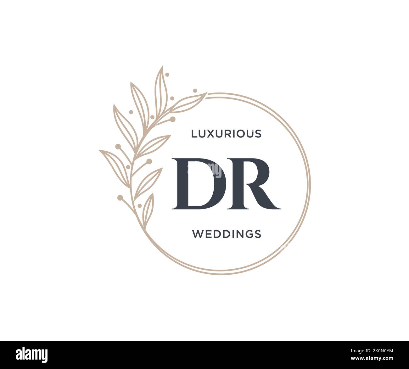 DR Initials letter Wedding monogram logos template, hand drawn modern ...