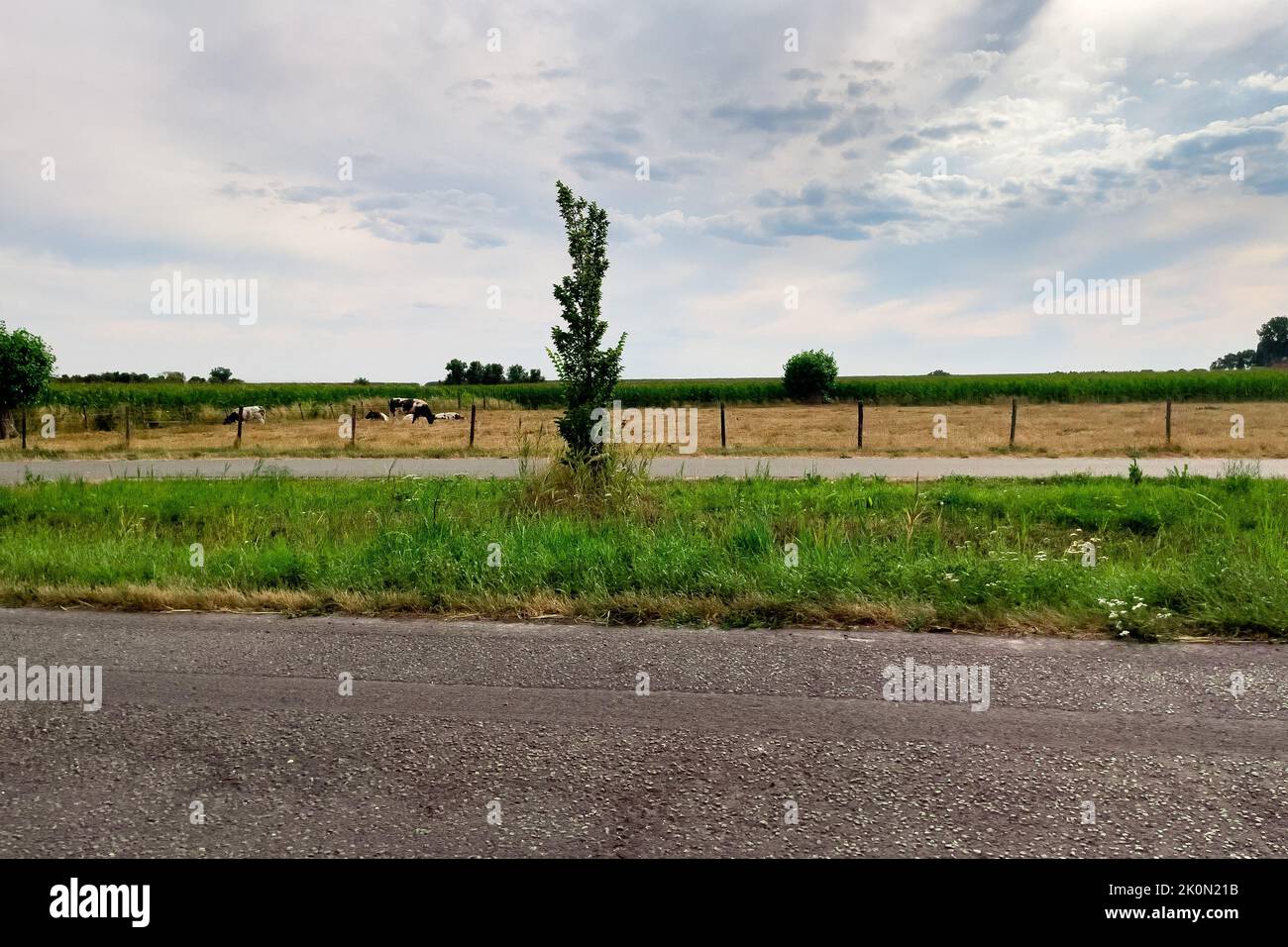 A car window view over the roadside of a freeway in Belgium Stock Photo ...