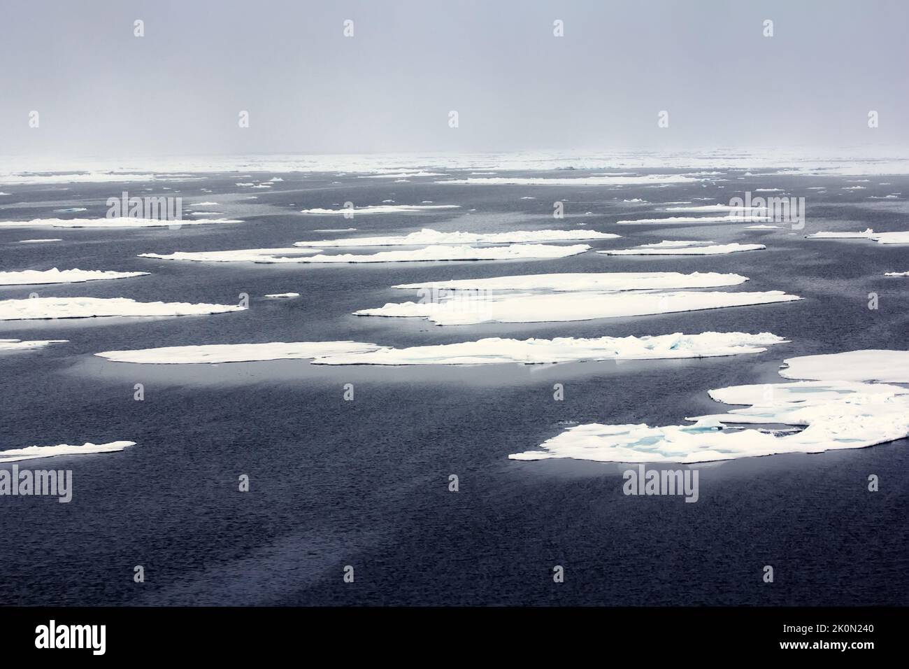 Glaciological studies: polynya, regional clearing. Extensive sagebrush ...