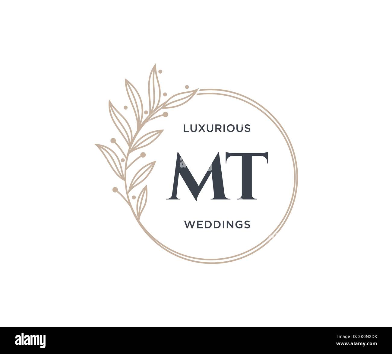 MT Initials letter Wedding monogram logos template, hand drawn modern ...